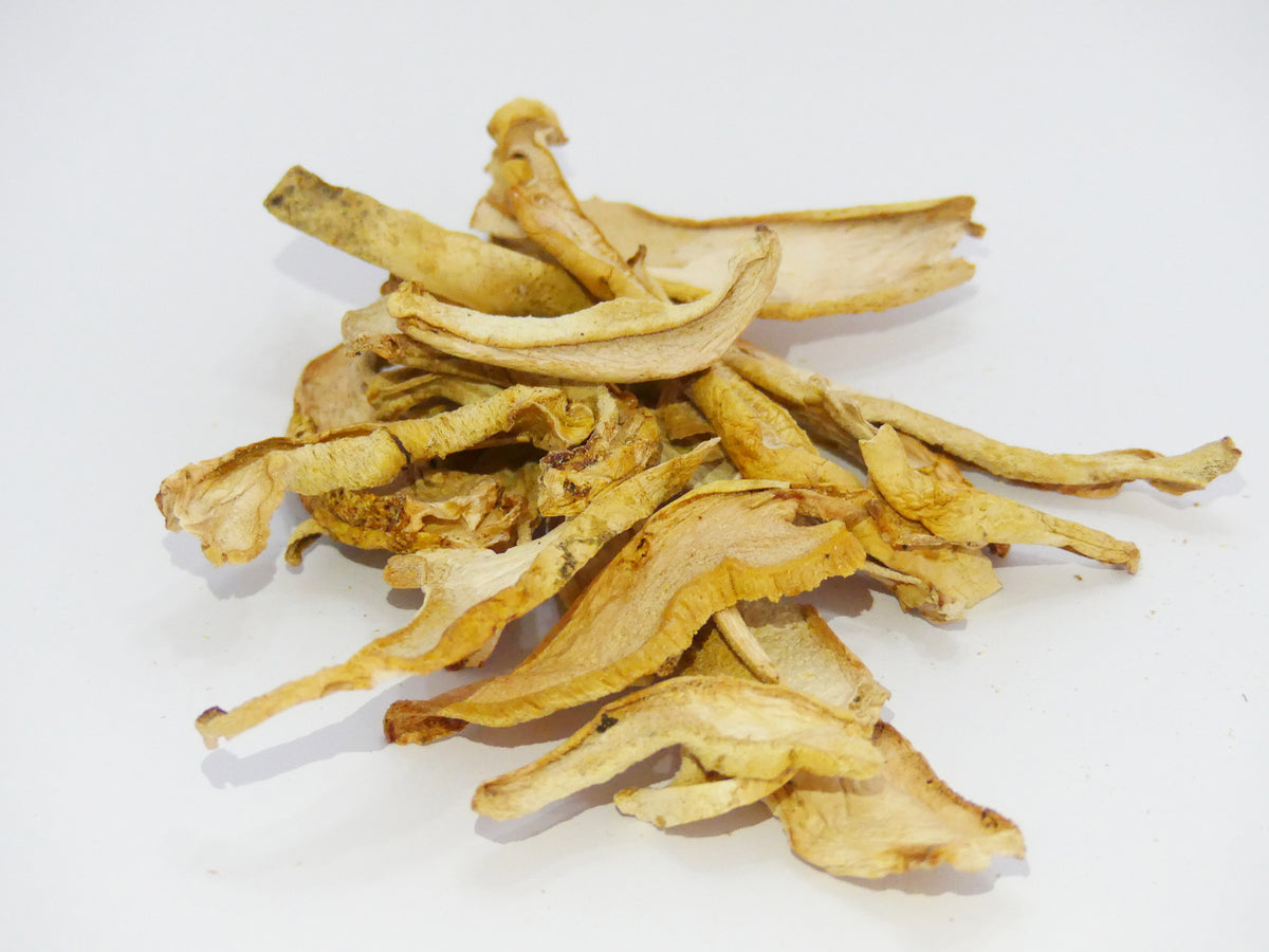 Sheep Polypore Mushroom – Canadian FunGuy