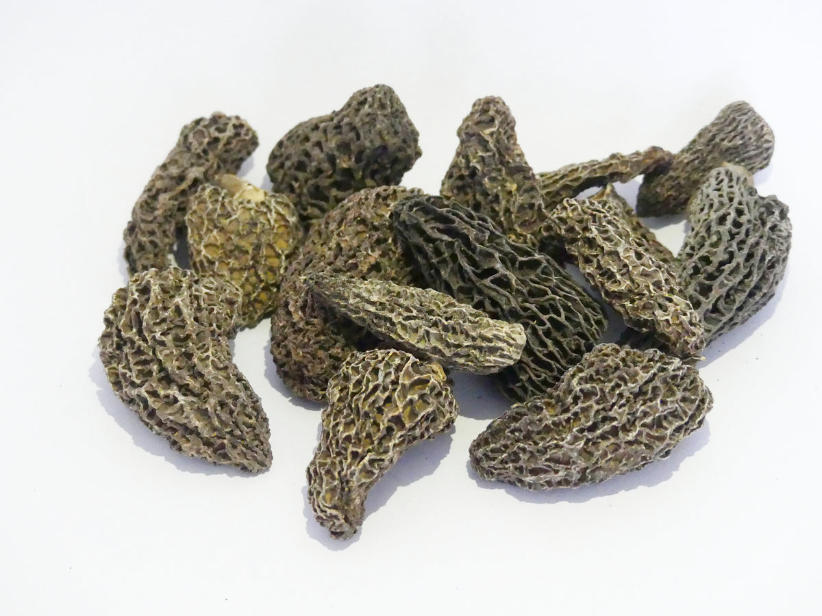 Fire Morels – Canadian FunGuy